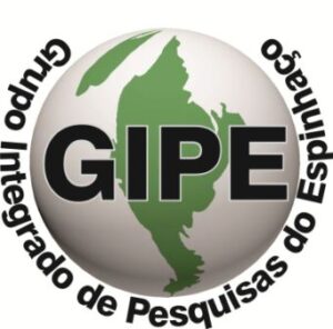 GIPE – Instituto Geociências UFMG